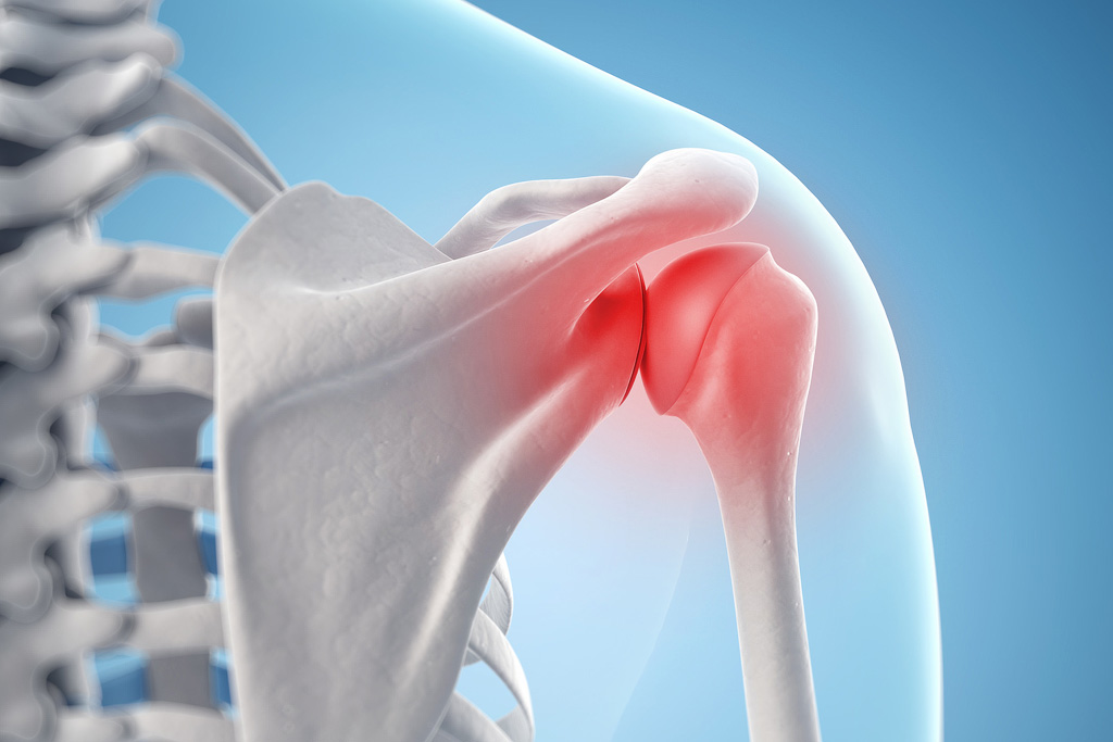 Prof. nadzw. dr hab. med. Julian Dutka | Gabinet ORTTRA | Specjalista w ...